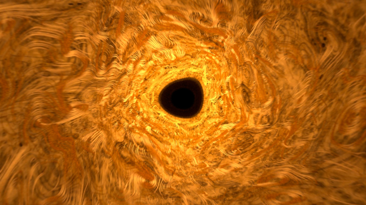 ”Experiencing the trees memories” - Emmanuel Vaughan-Lee & Adam Loften (THE ATOMIC TREE) - XRMust