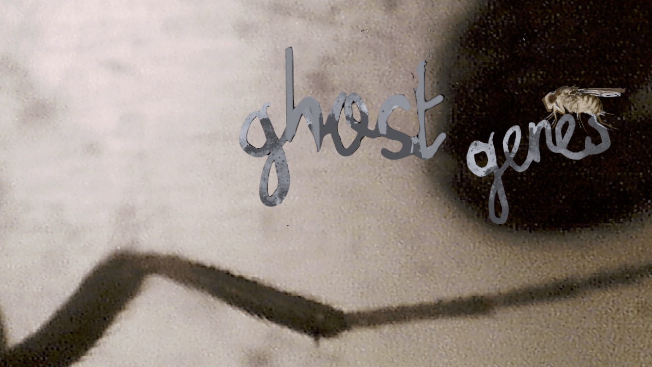 CPH:Lab 2023: NËPP NËPPËL, GHOST GENES, BABEL (part 3) - XRMust