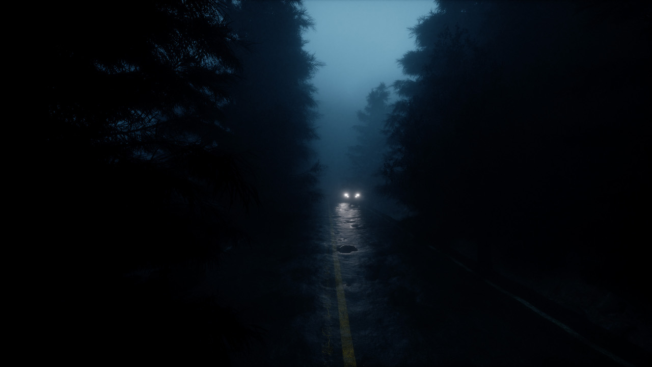 “My films tend to question the spectator on the state of the world and ...