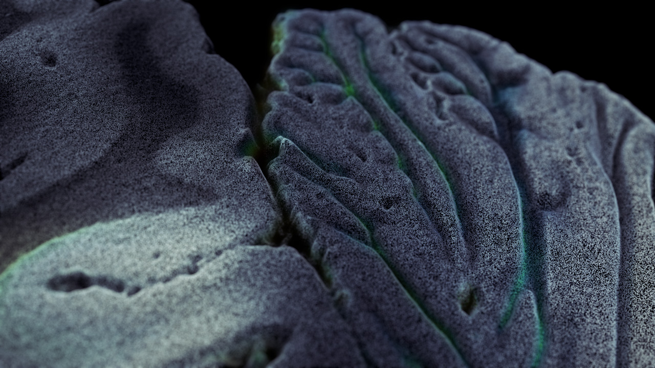 “We want to explore new narratives with EVOLVER” – Sam Pressman (Pressman Film) - XRMust