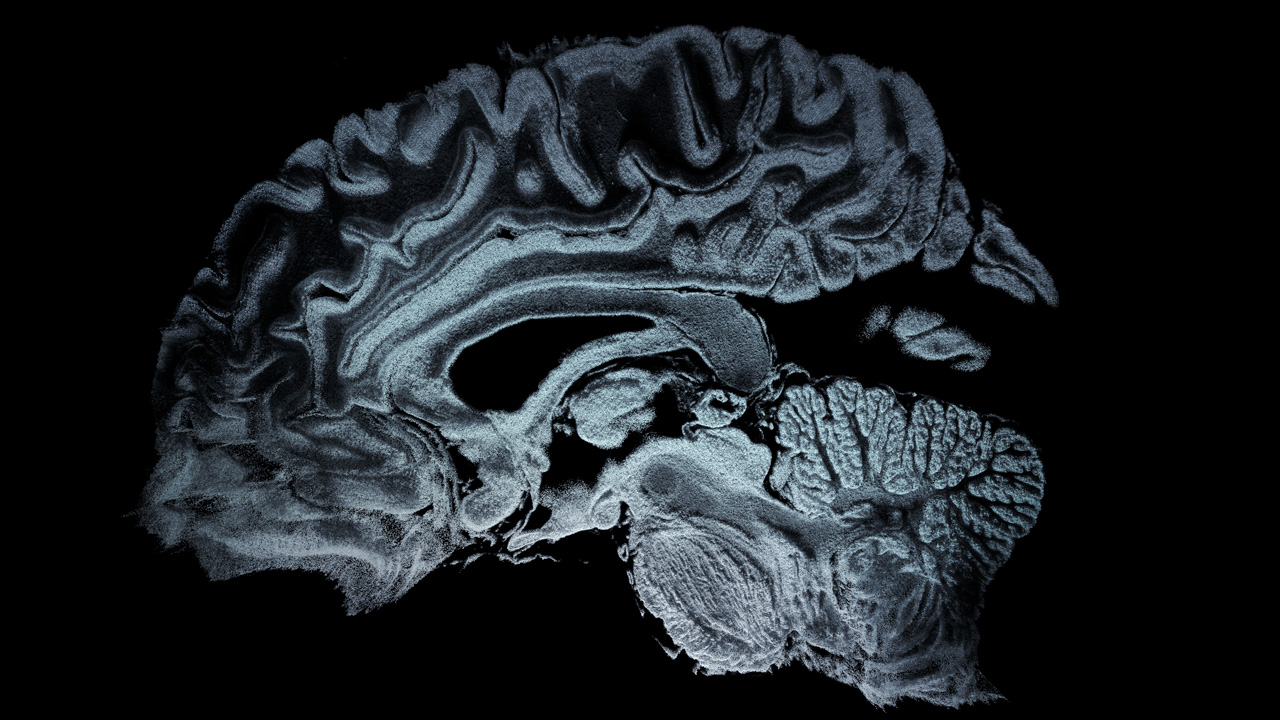 “We want to explore new narratives with EVOLVER” – Sam Pressman (Pressman Film) - XRMust